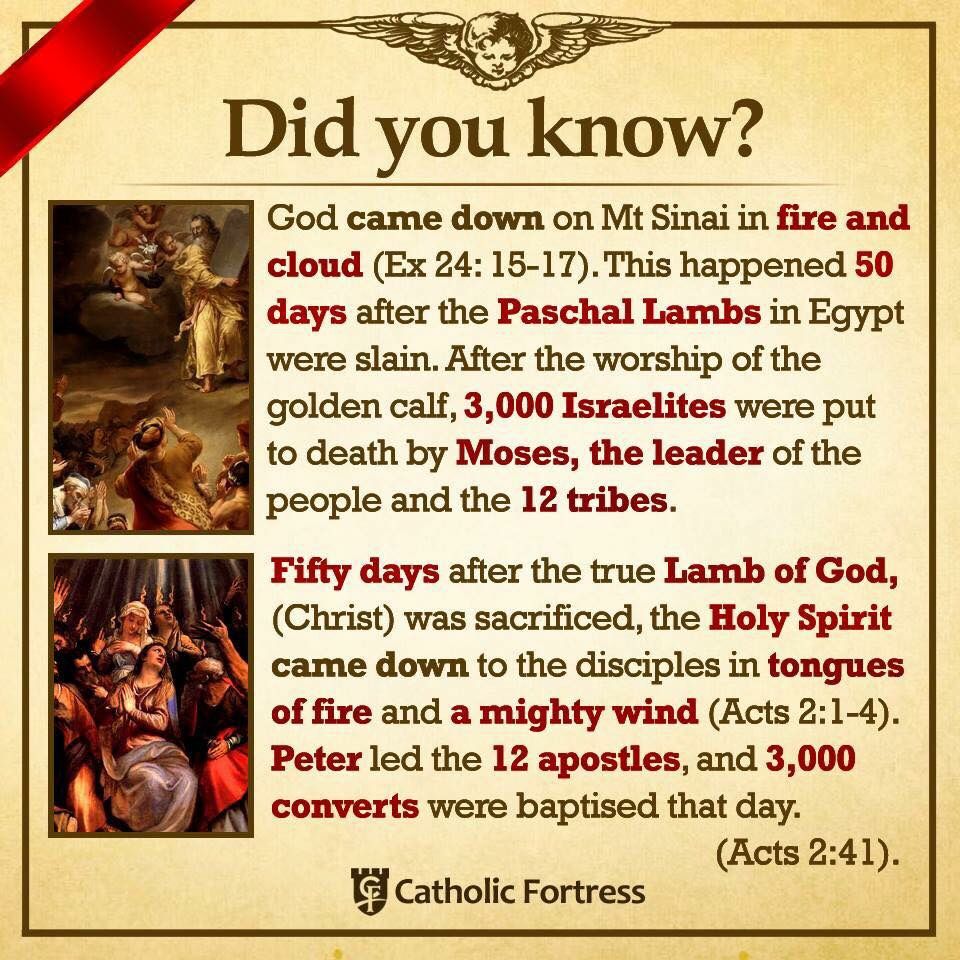 Pentecost the 3000 Catholic Fortress – My Daily Bread: A ...